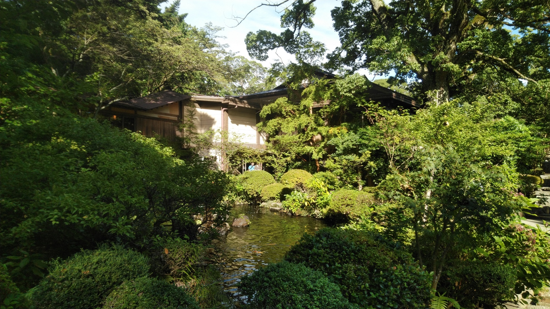 01-09-2025: 蒼い熊（run-and swimmer）